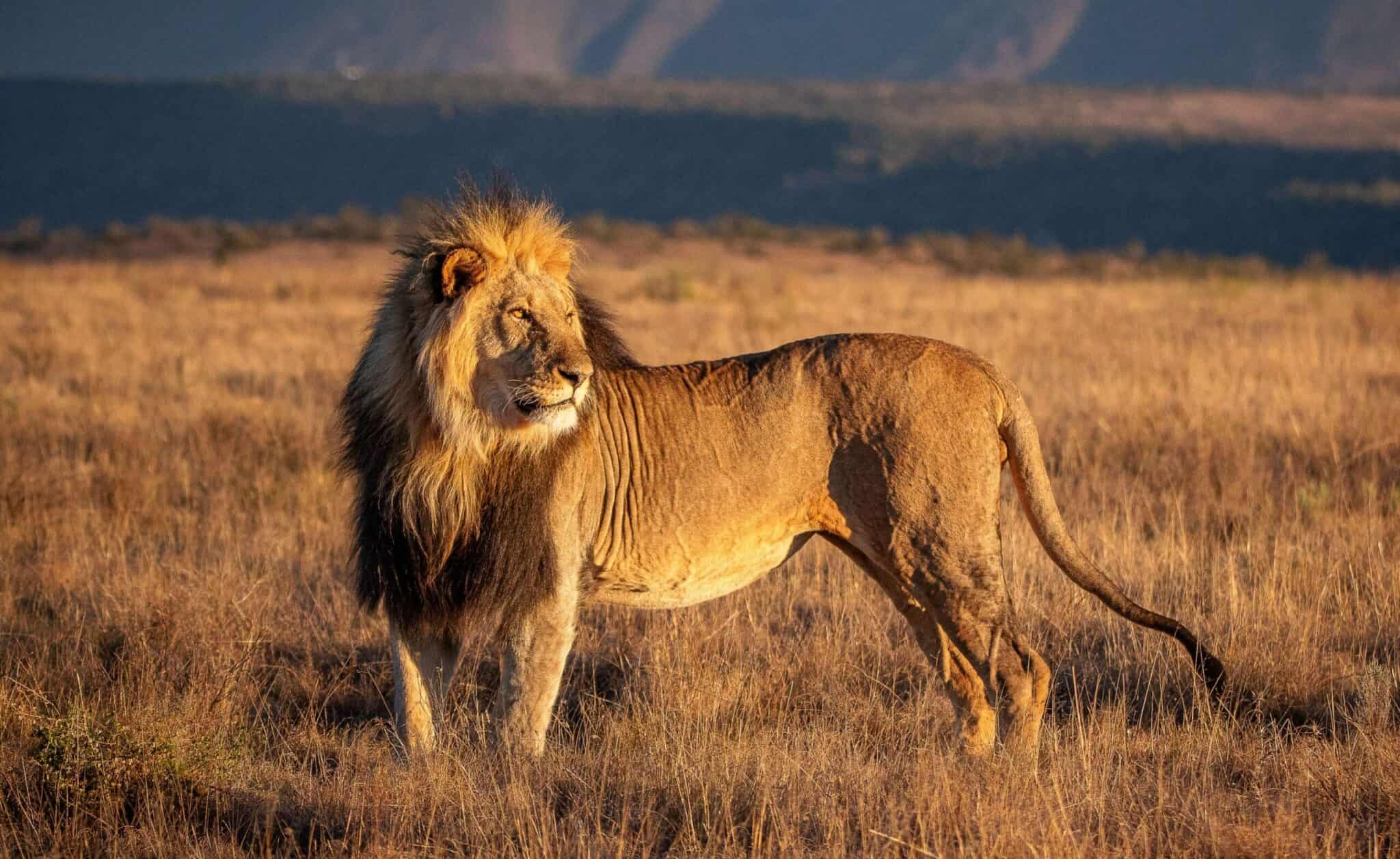 Our Story | Samara Karoo Reserve