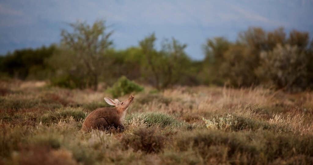 Our Story | Samara Karoo Reserve